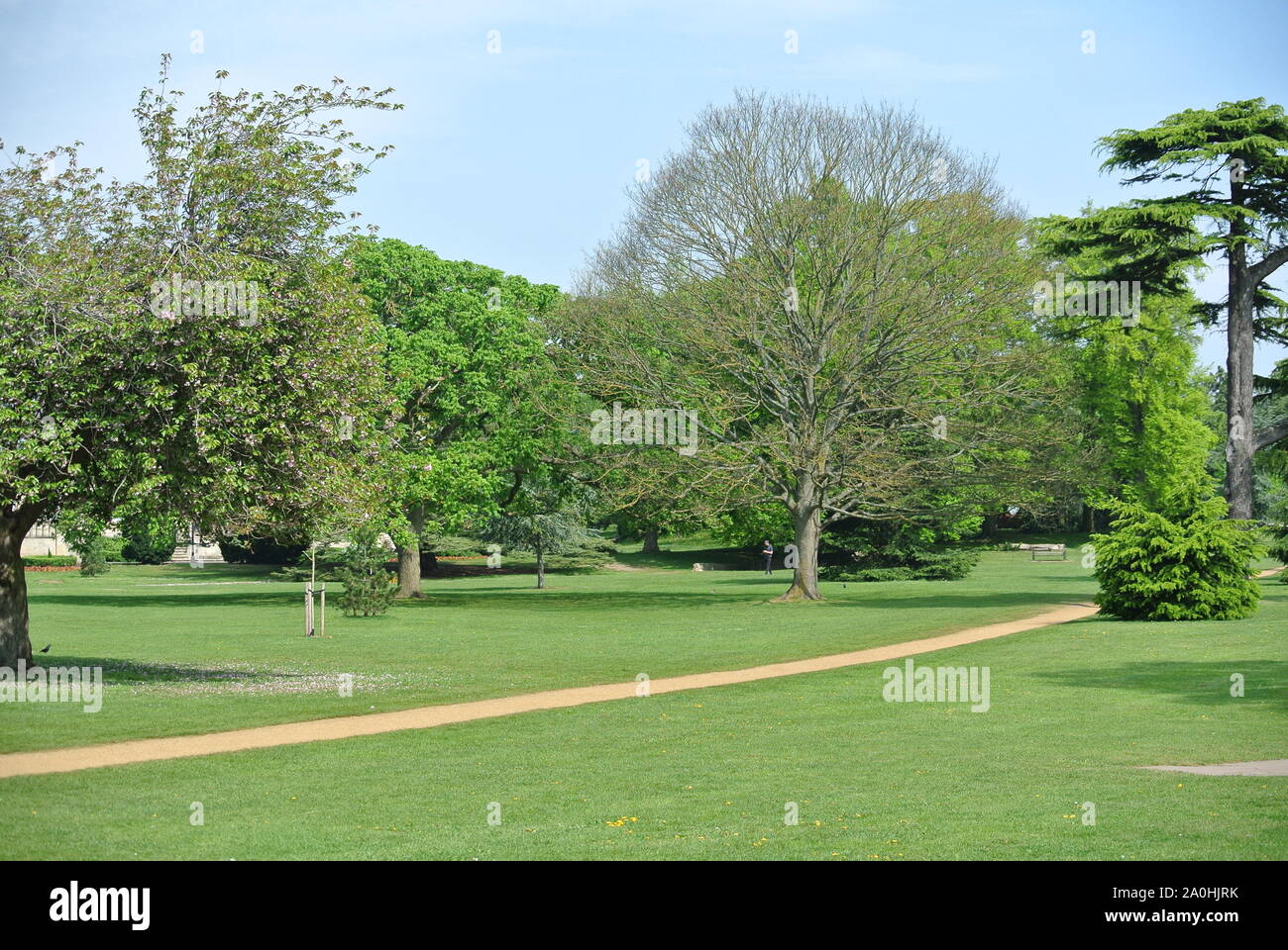 Knowle park hi-res stock photography and images - Alamy