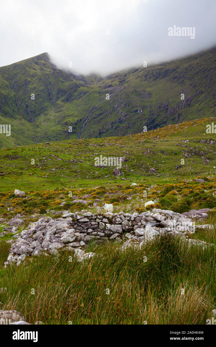 Clochan hi-res stock photography and images - Alamy