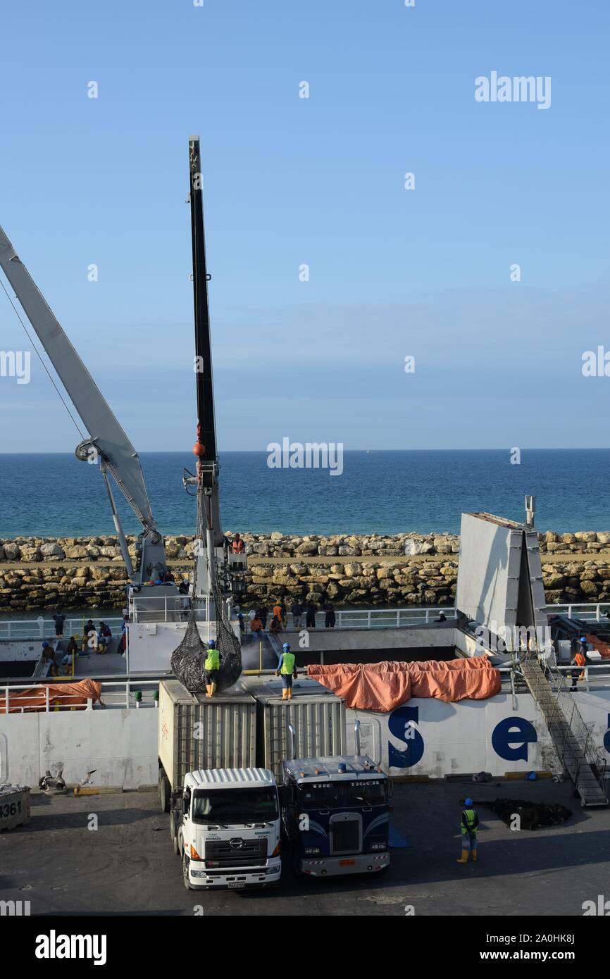 Landing Tuna fish in Manta, Ecuador Stock Photo - Alamy