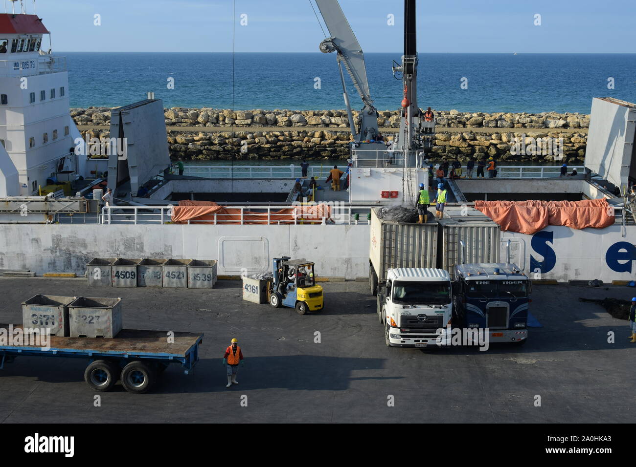 Landing Tuna fish in Manta, Ecuador Stock Photo - Alamy