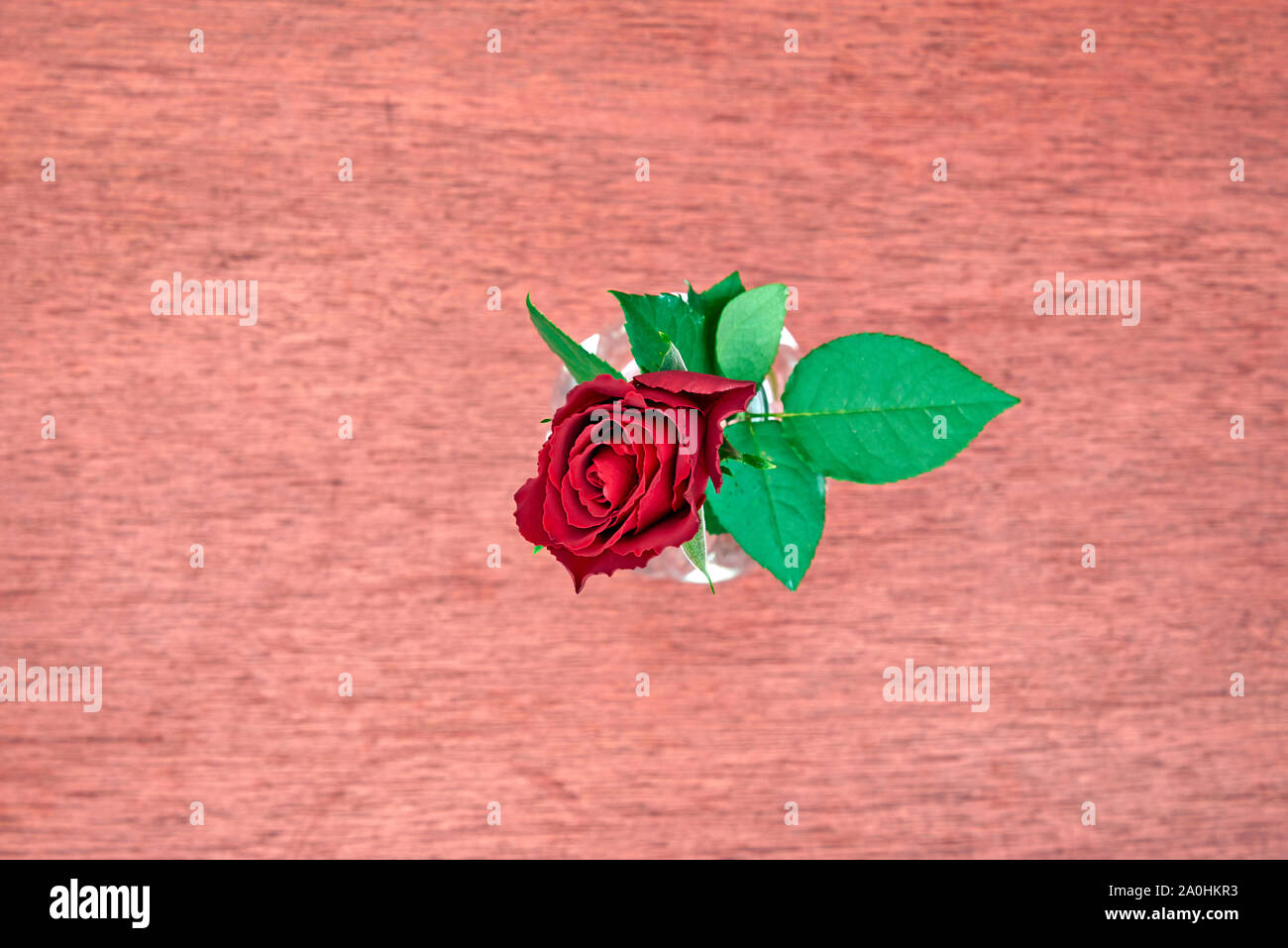 Top view from above pink hi-res stock photography and images - Alamy