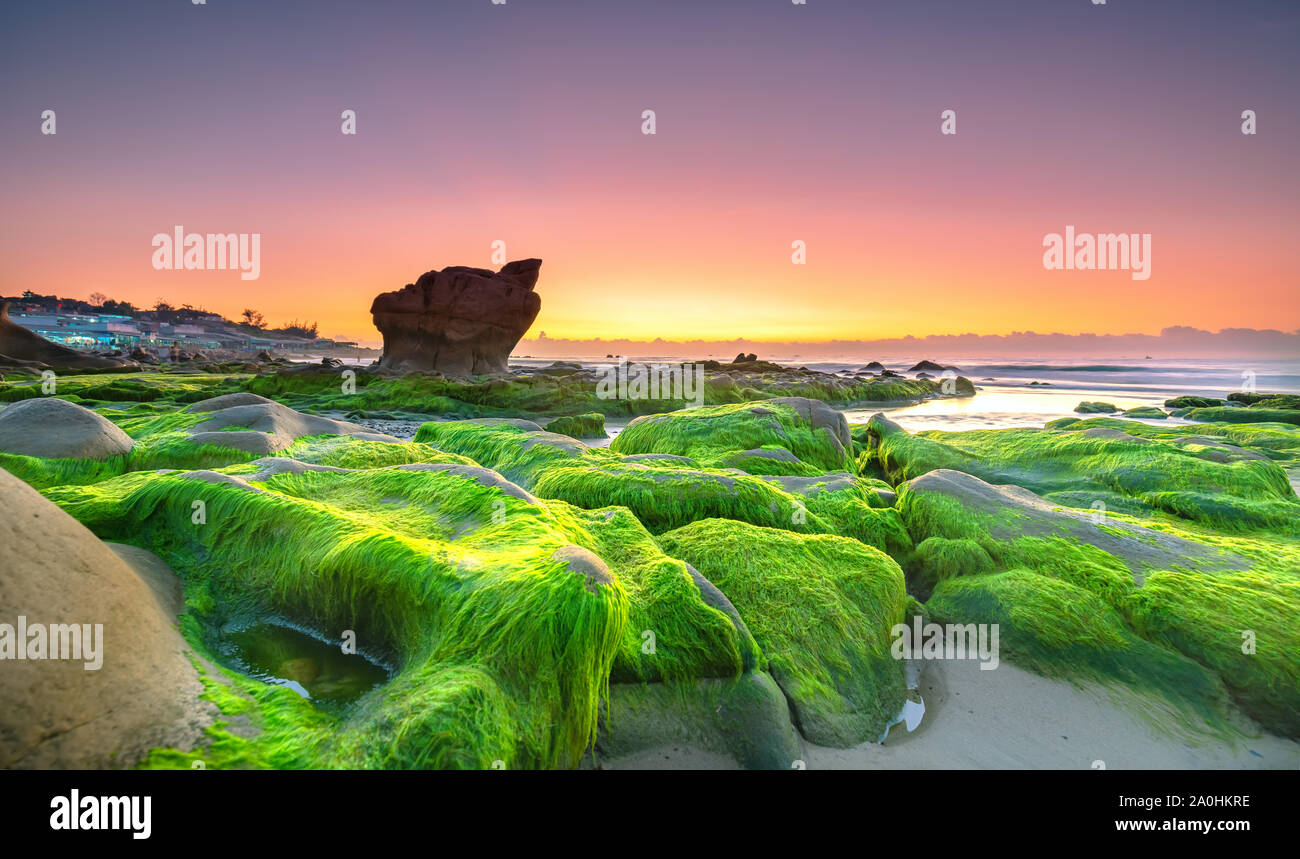Strange stones covered moss and seaweed welcomes dawn beautiful new day ...