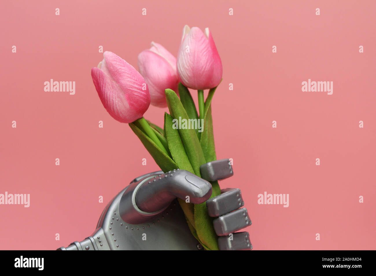 The robot gives flowers. The robots hand holds three tulips. March 8 ...