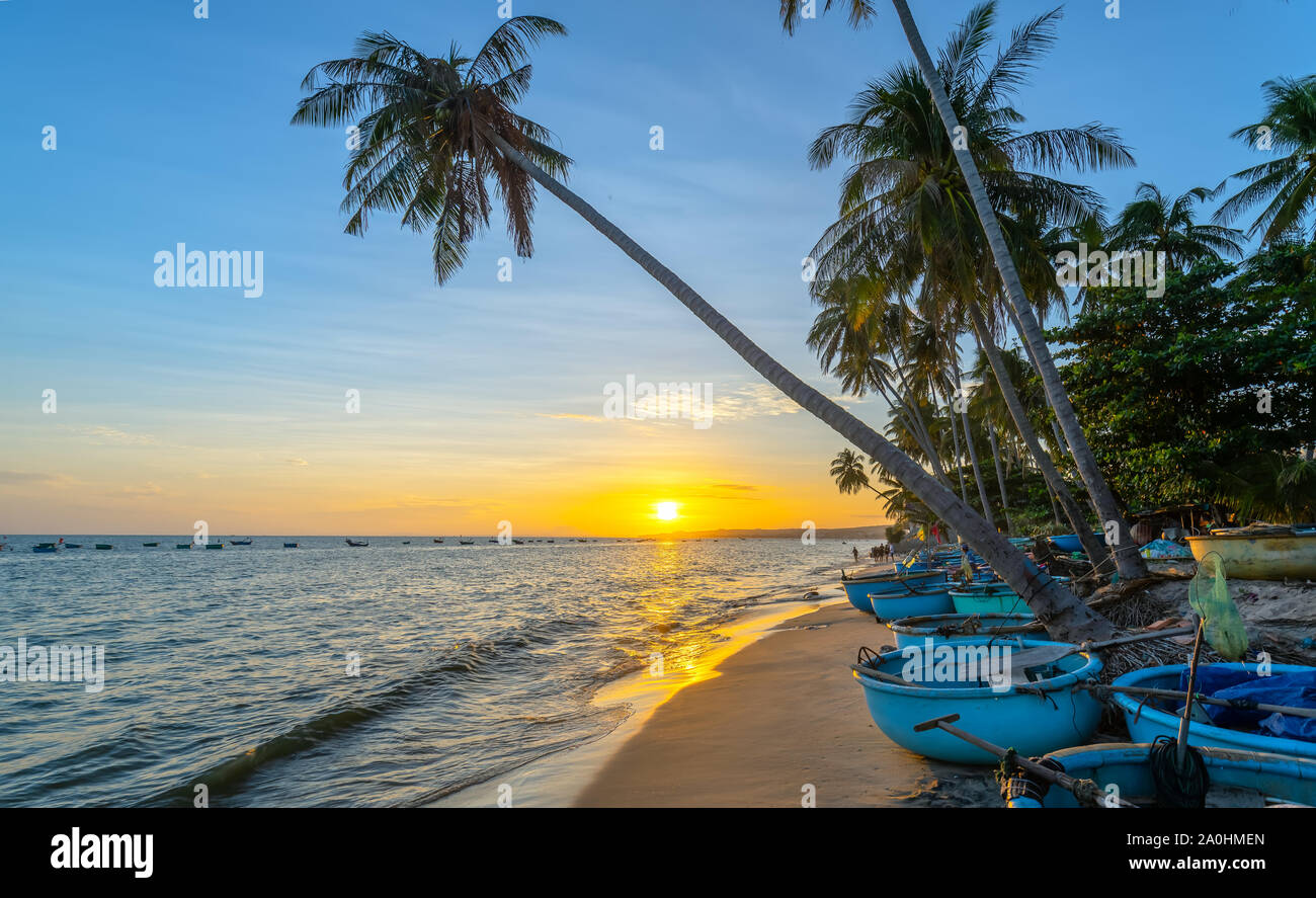 Sunset on the beach with tilted coconut trees, long sandy beaches and ...