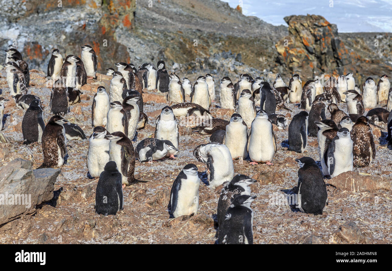 Crowd gathering rocks hi-res stock photography and images - Alamy