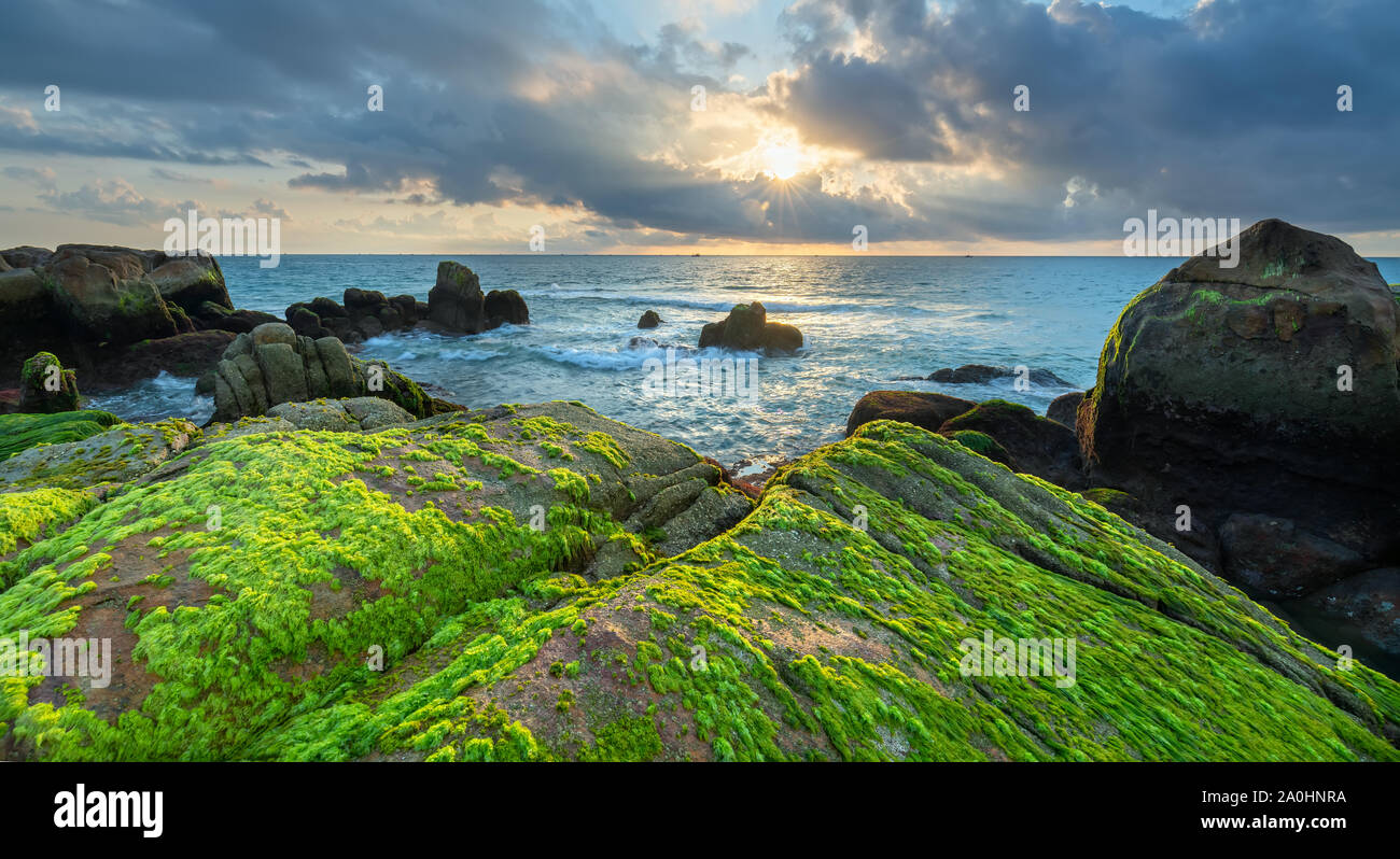 Rock Algae High Resolution Stock Photography and Images - Alamy