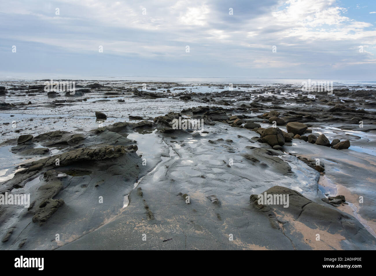 Coastline in the Flat Rocks area of Bunurong Marine and Coastal Park in ...