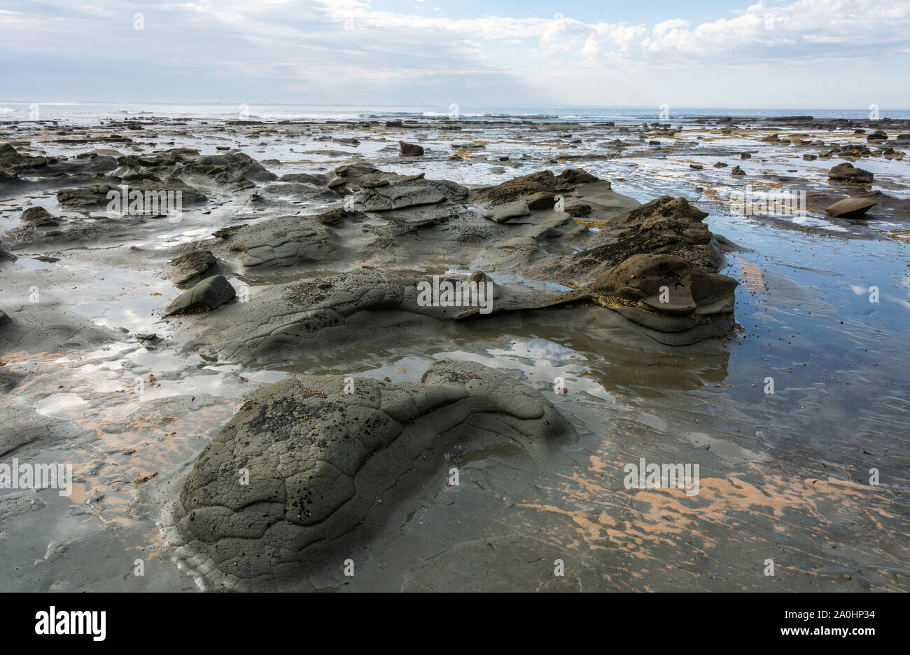Coastline in the Flat Rocks area of Bunurong Marine and Coastal Park in ...