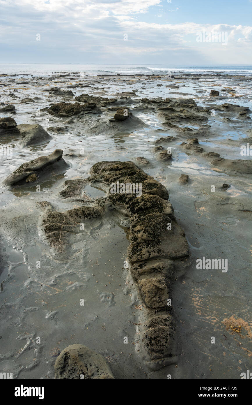 Bunurong hi-res stock photography and images - Alamy