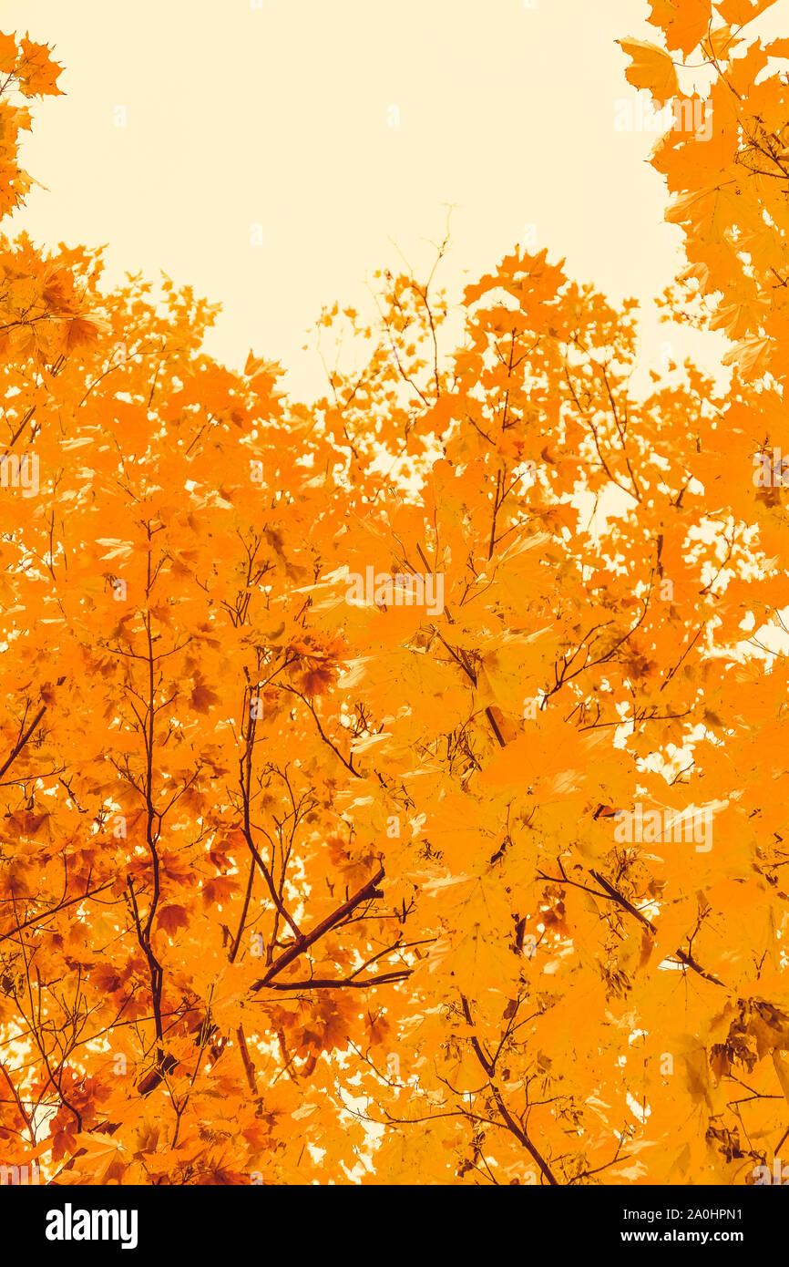 Seasonal travel, retro backdrop and rural environment concept ...