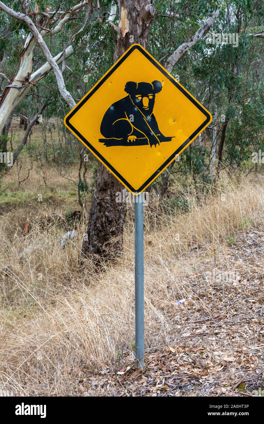 Koalas warning sign hi-res stock photography and images - Alamy