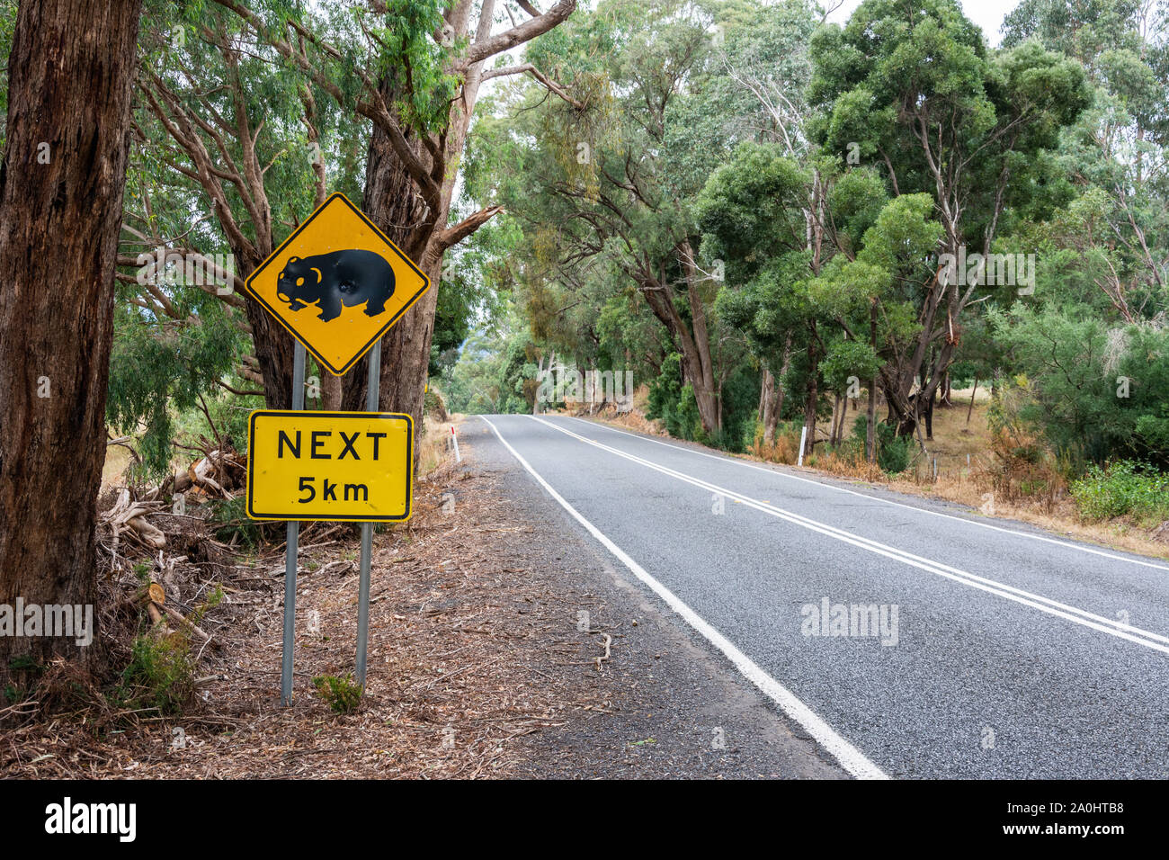 Motor road in Australia with ‘Wombat Crossing. 5km’ road sign Stock ...