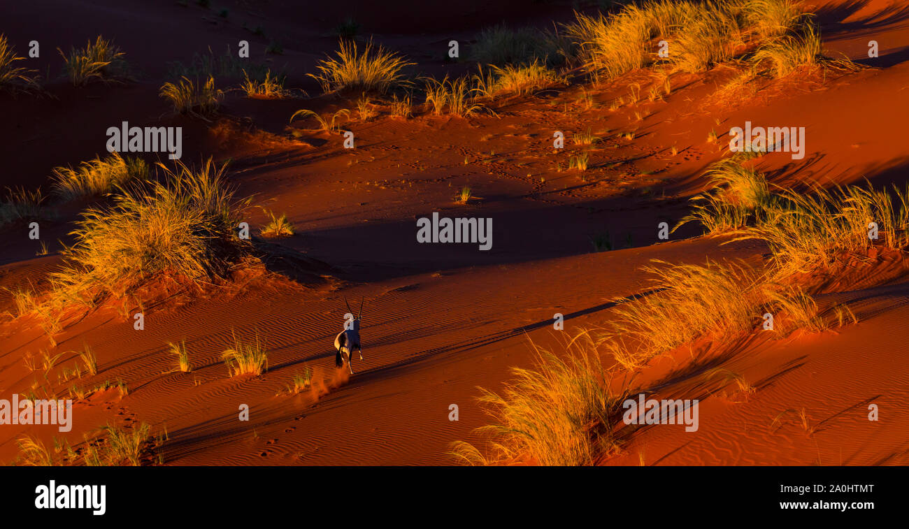 Namib Desert Ocean Tourism