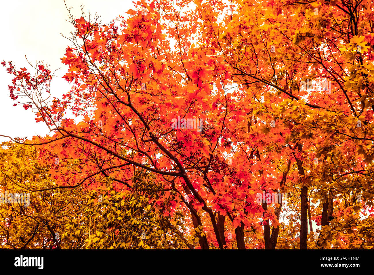 Seasonal travel, retro backdrop and rural environment concept ...