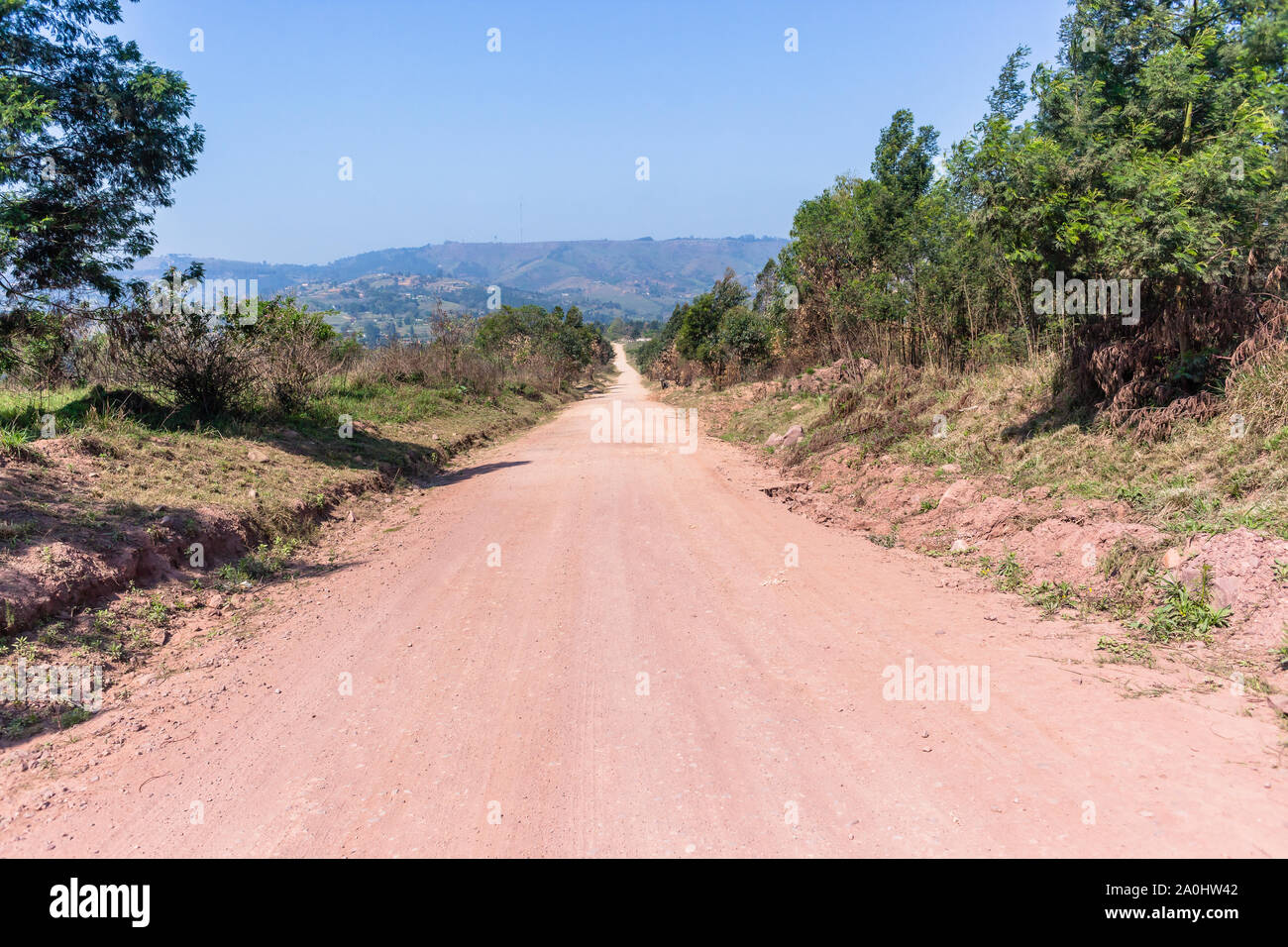 Dirt road route downhill middle perspective summer rural trees ...