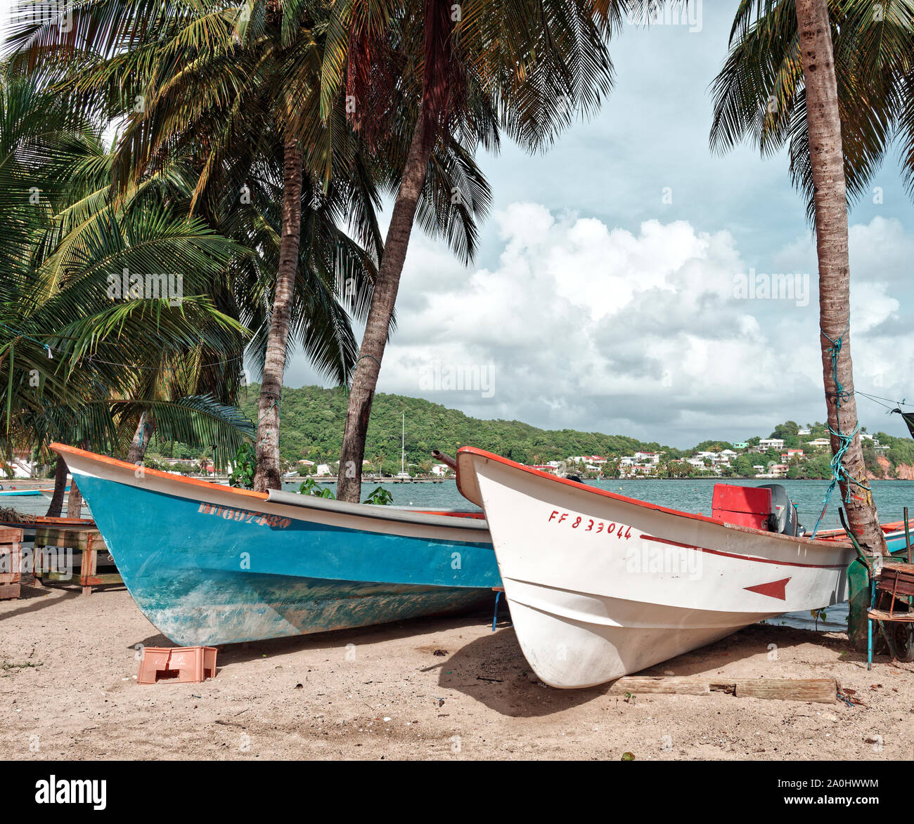 2 typicals fishing boat between two coconut tree, in Martinique Stock ...