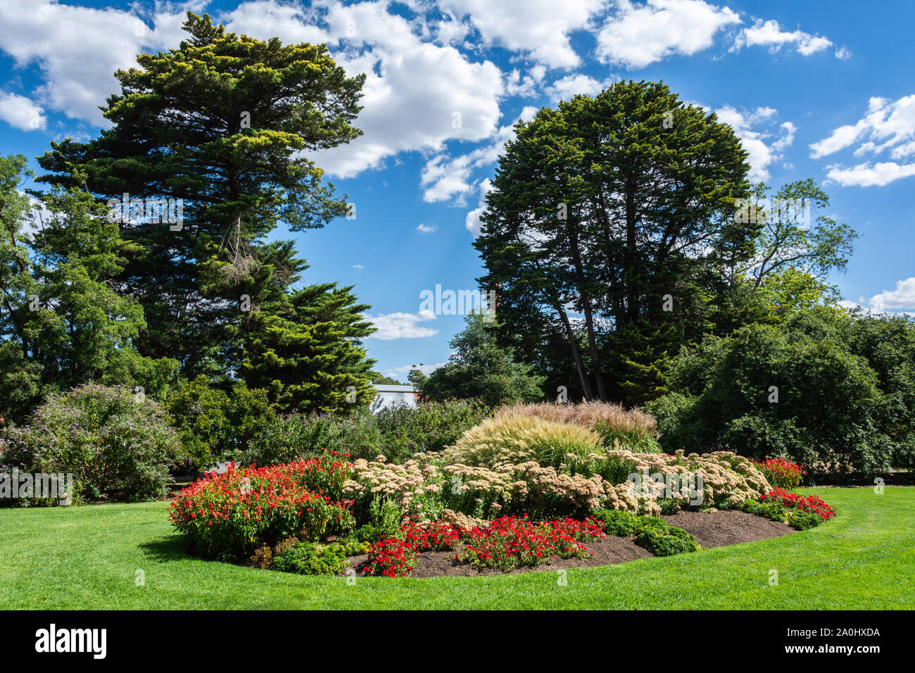 Landscape in Castlemaine Botanical Gardens in Castlemaine, Victoria ...