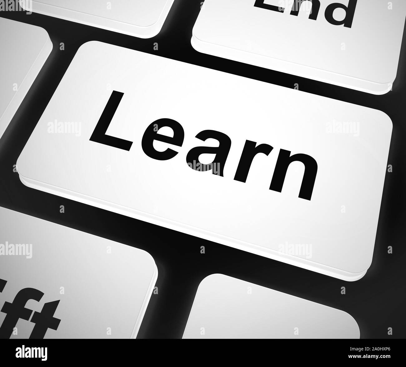 Learn concept icon means to study and understand. Further education in ... Learn concept icon means to study and understand. Further education in ...