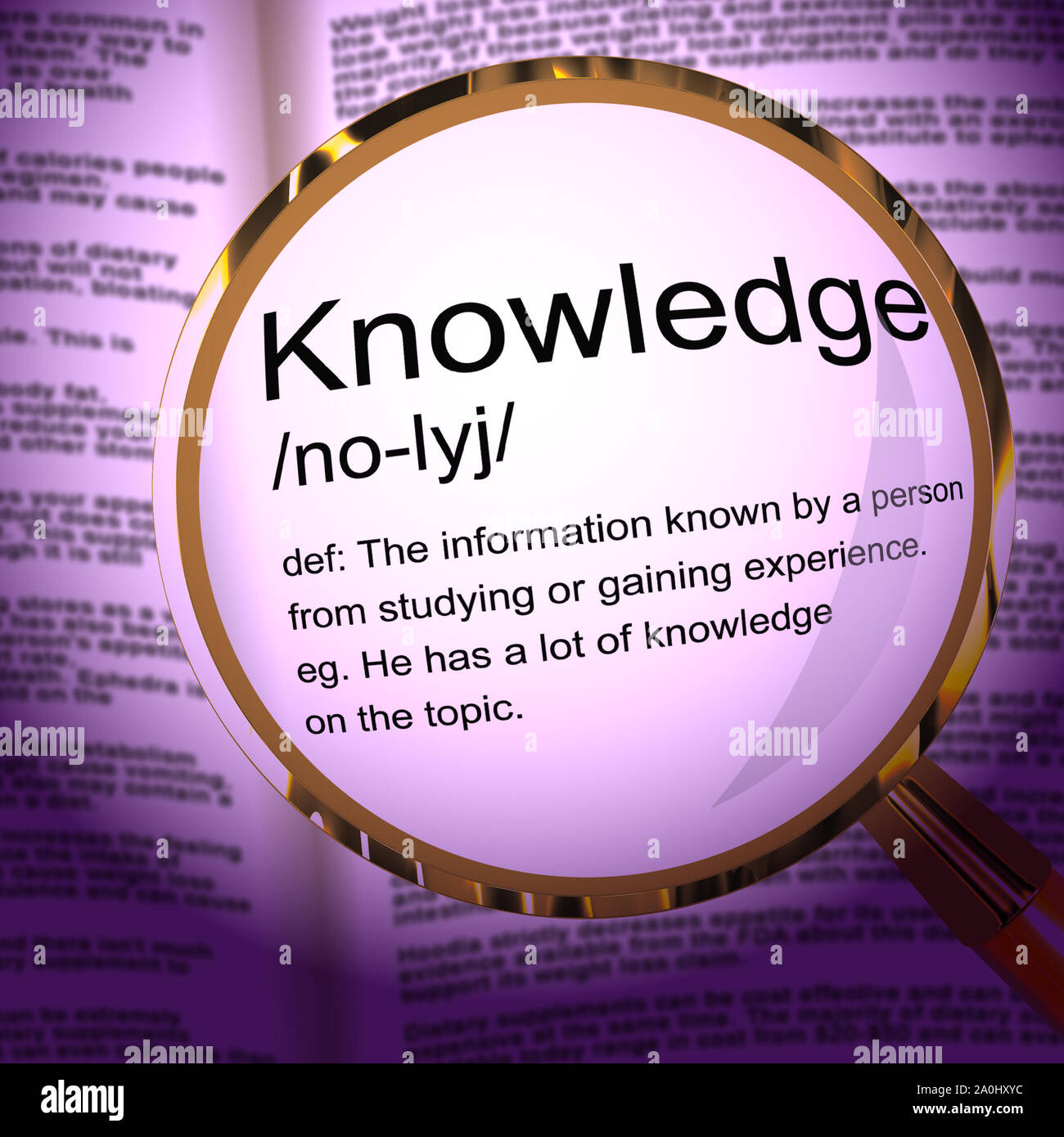 Knowledge concept icon mean information or data. Accessing records for ...