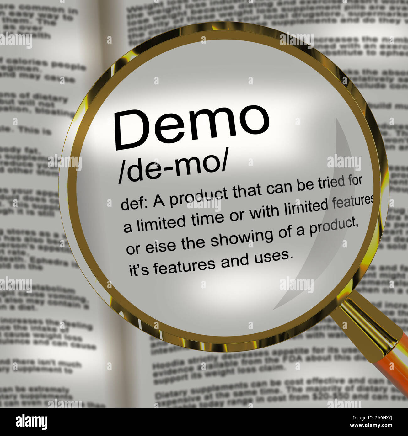 Software Demonstration Icon