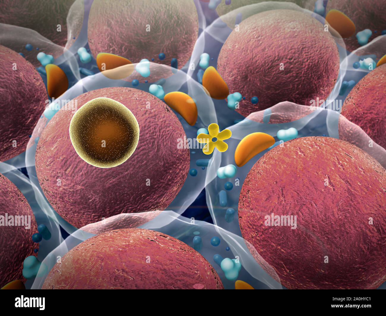 field of fat cells, High quality 3d render of fat cells, field of cells ...
