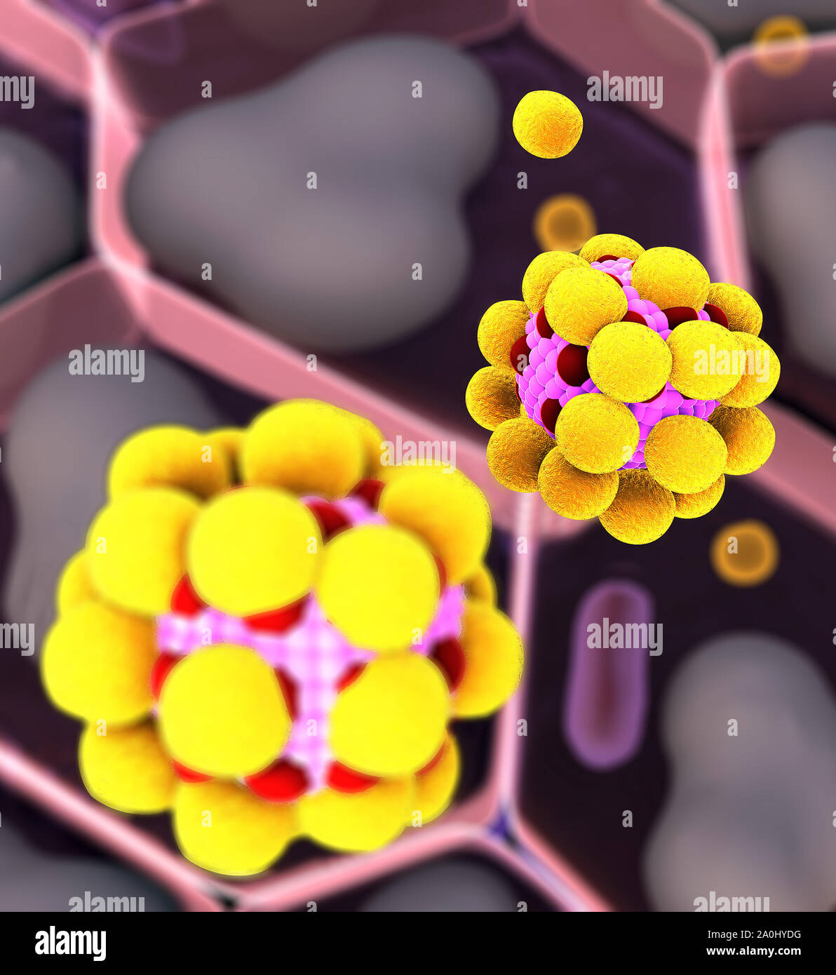 field of fat cells, High quality 3d render of fat cells, cholesterol in ...