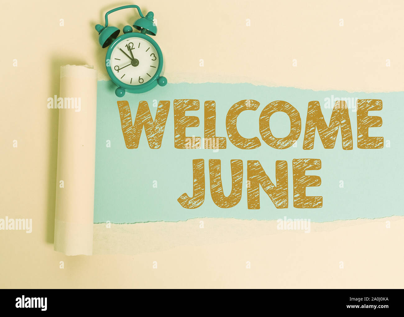 June birth flower hi-res stock photography and images - Alamy