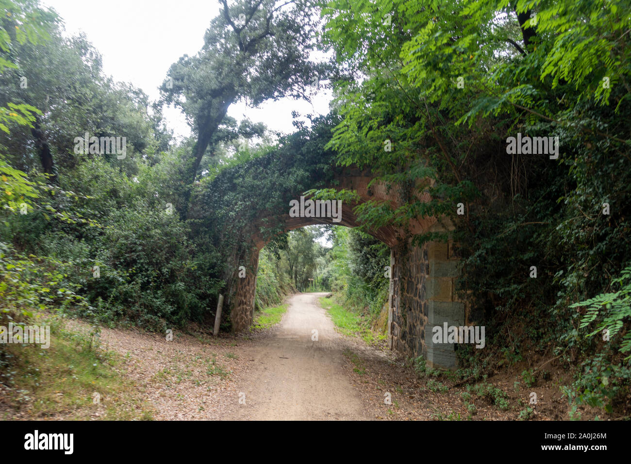 The green way of the carrilet path of Olot, Spain Stock Photo - Alamy
