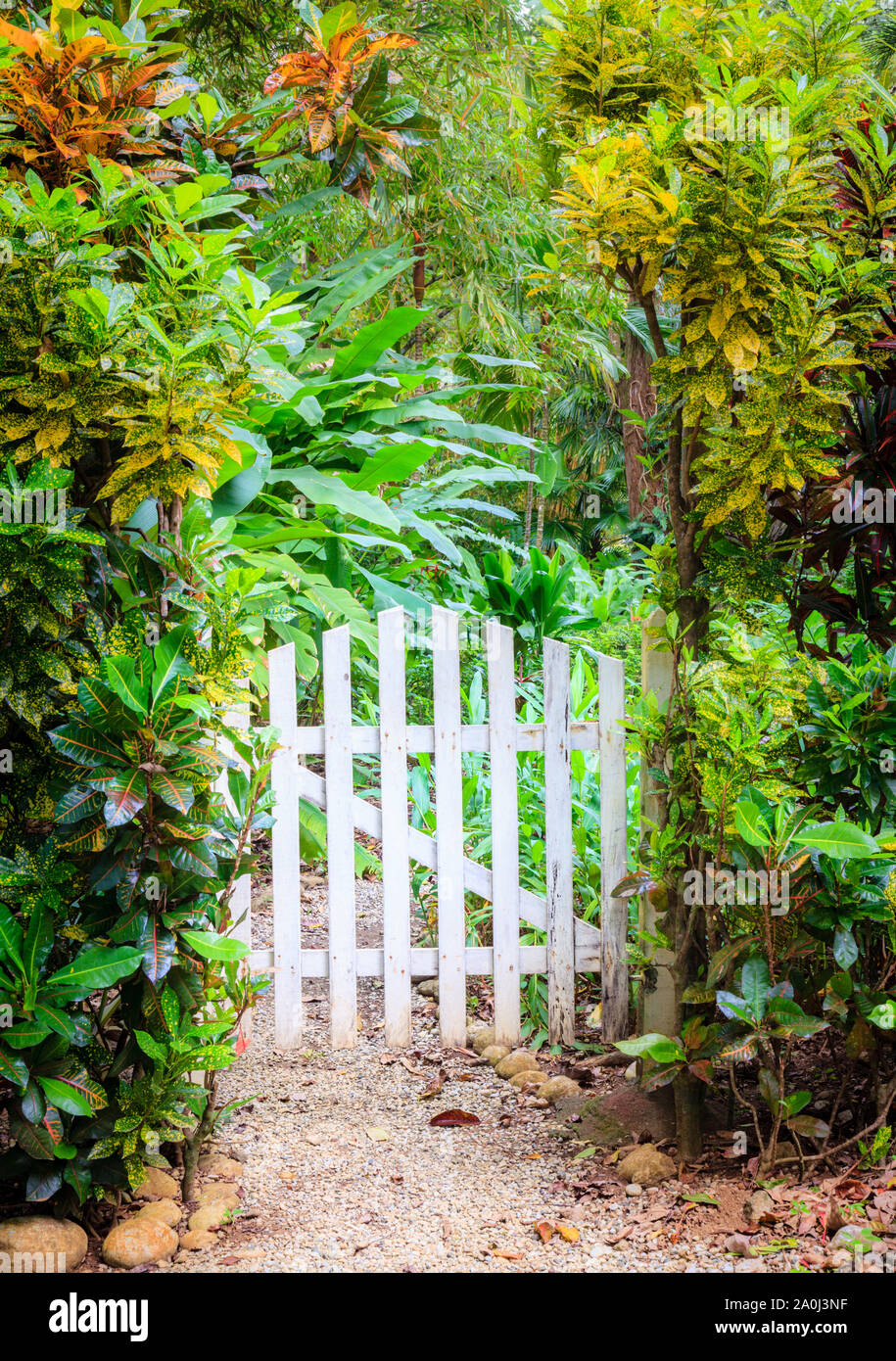 Small gate and footpath to a garden in Corcovado National Park in Costa ...