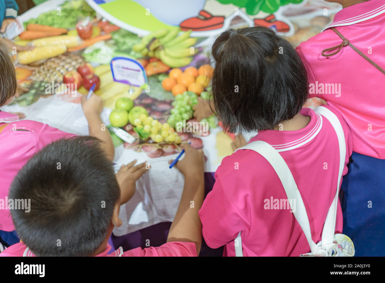 Primary school girls learn and take notes about different types of ...