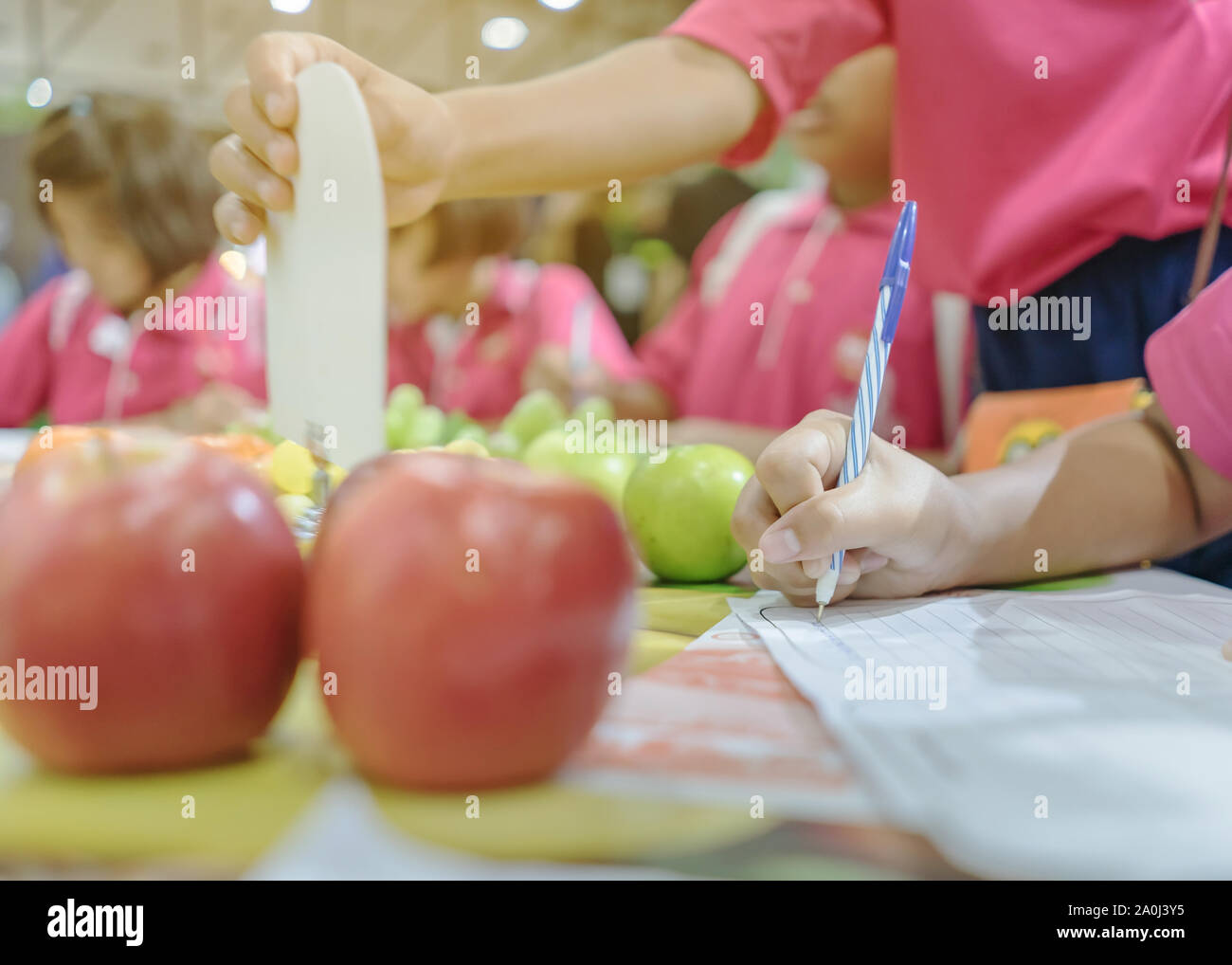 Primary school girls learn and take notes about different types of ...
