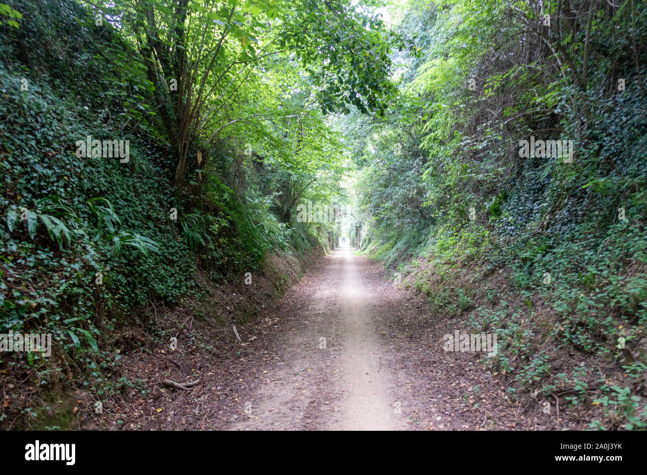 The green way of the carrilet path of Olot, Spain Stock Photo - Alamy