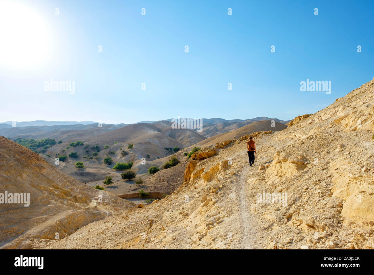 Palestine, West Bank, Jericho. Hiker in Wadi Quelt, Prat River gorge ...