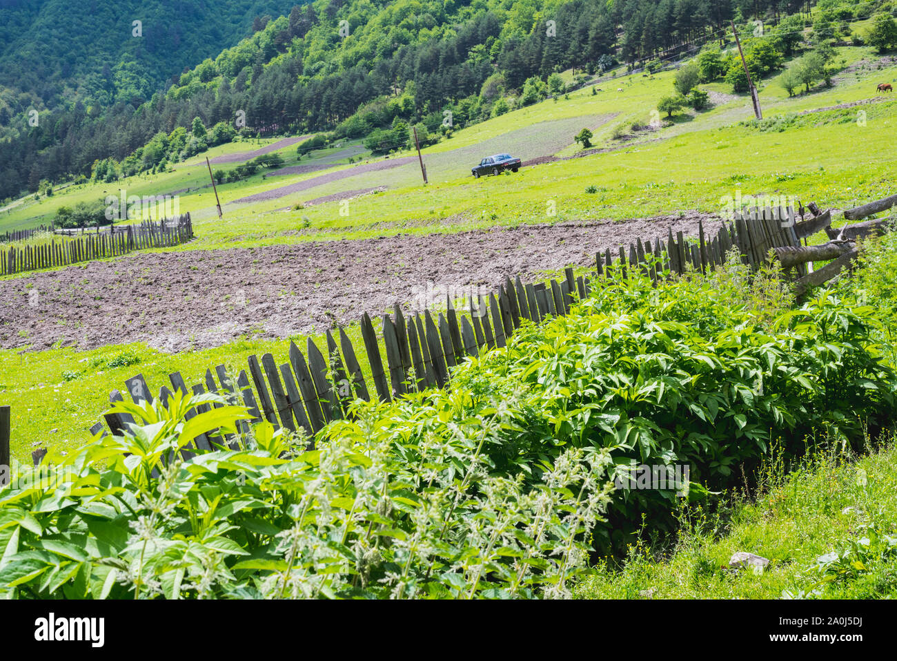 Rural scenery with wooden fences and virid fields in Mestia, Svaneti ...