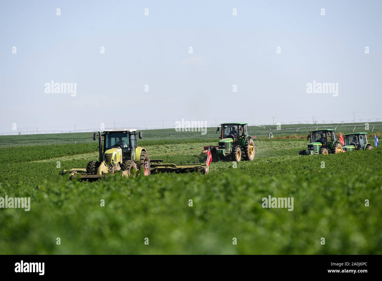 Hohhot, China. 20th Sep, 2019. Photo taken on Sept. 20, 2019 shows ...
