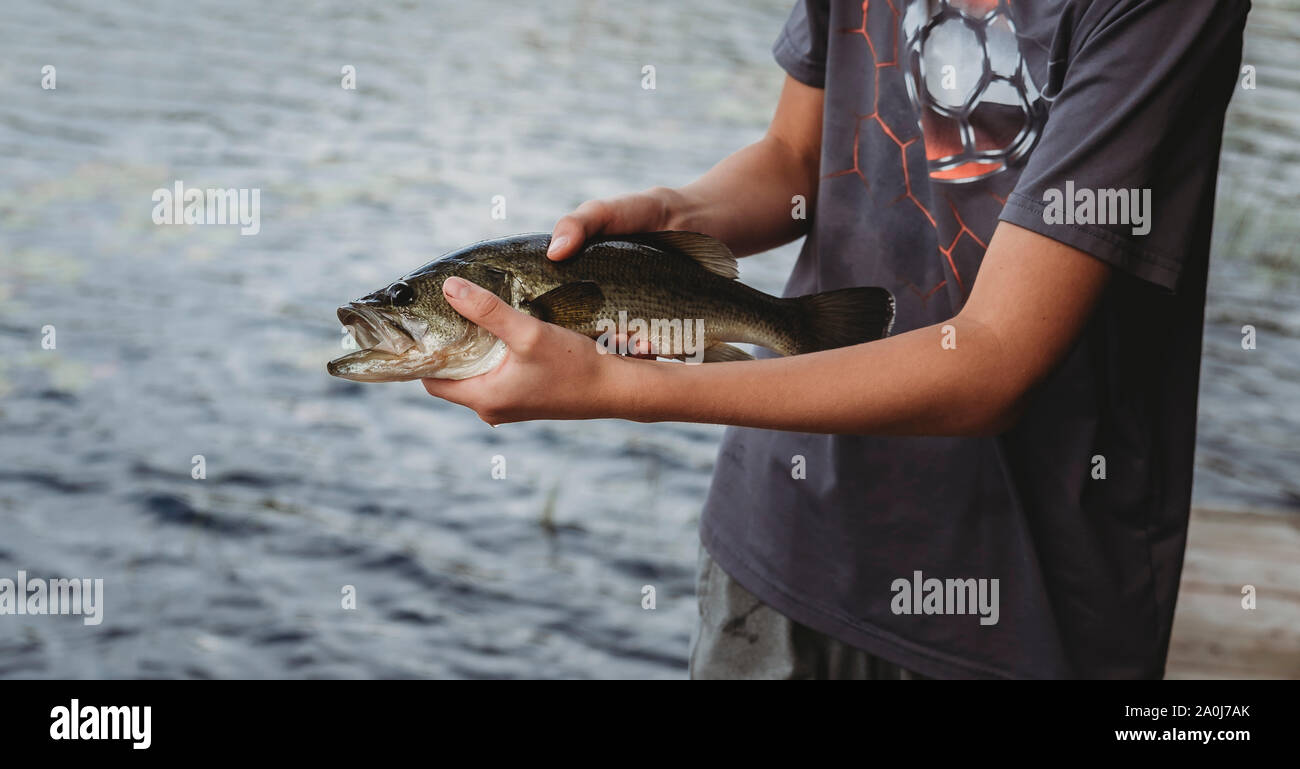 Close up of boy's torso as he's holding a fish with water behind him ...