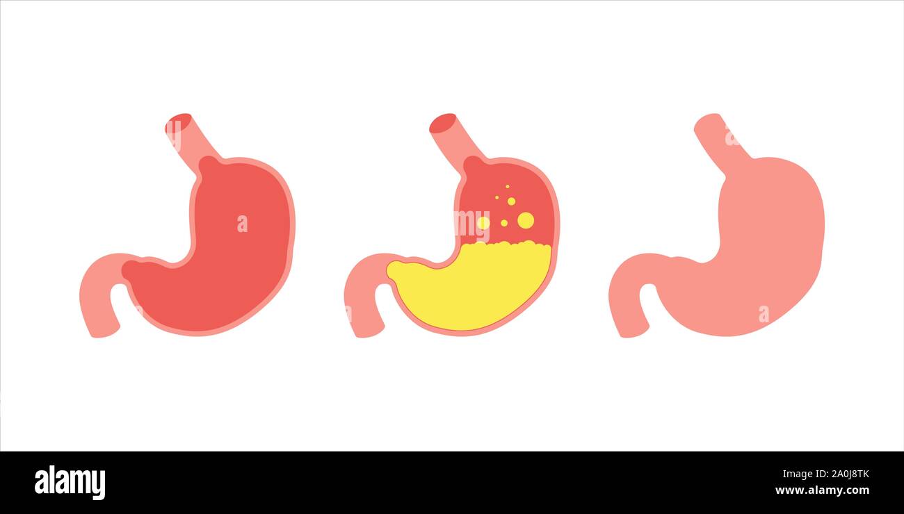 Three flat human body Stock Vector Images - Alamy