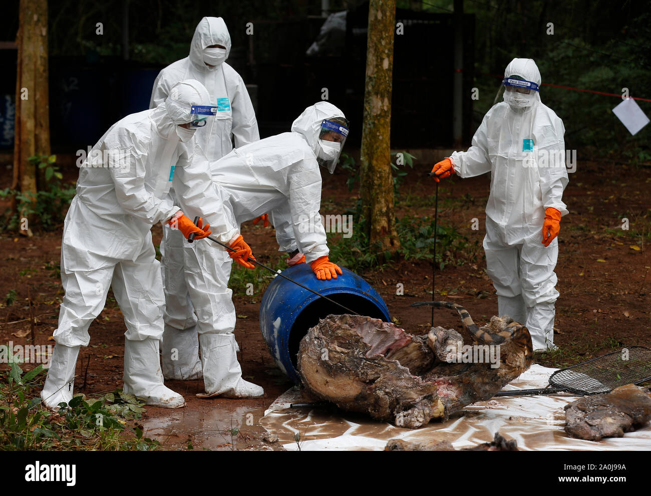 Department of parks and wildlife hi-res stock photography and images ...