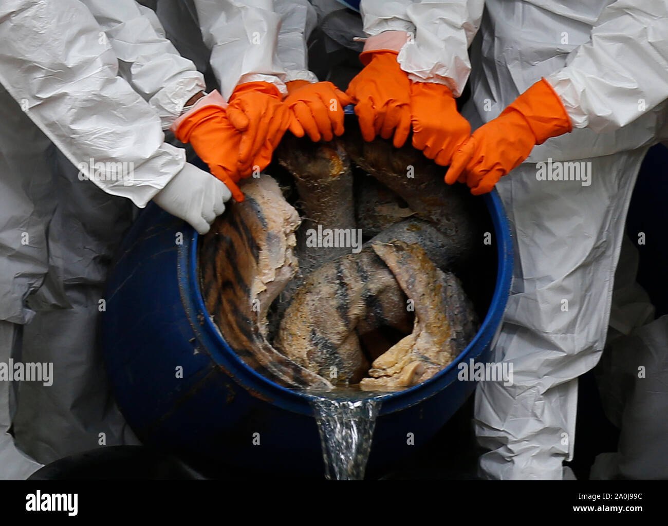 Viral infections hi-res stock photography and images - Alamy