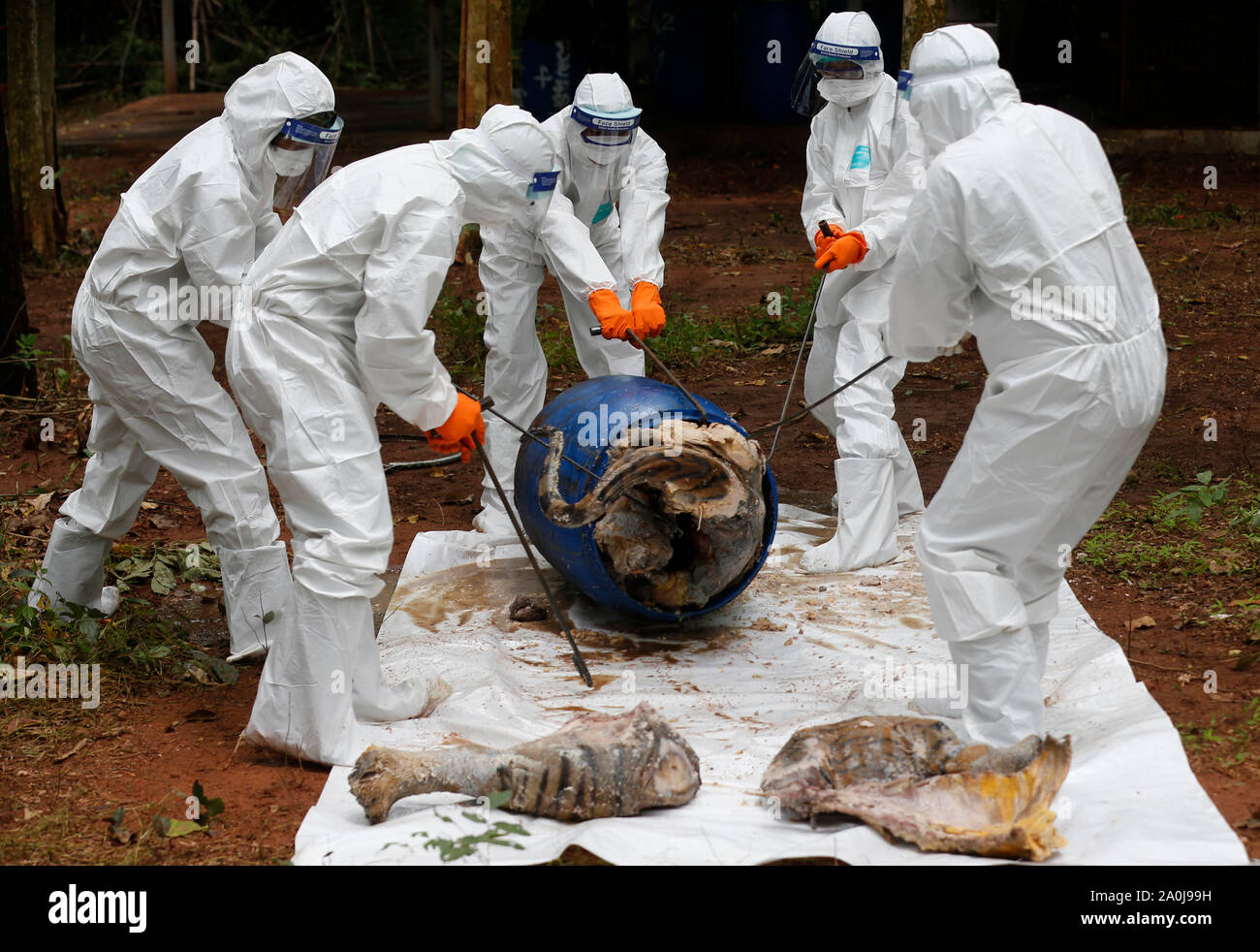 Ratchaburi, Thailand. 20th Sep, 2019. Department of National Parks and ...