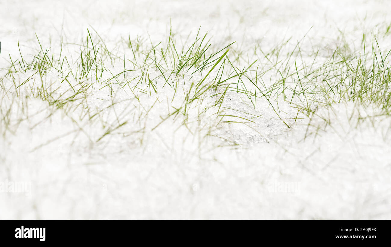 Snowing Background High Resolution Stock Photography and Images - Alamy