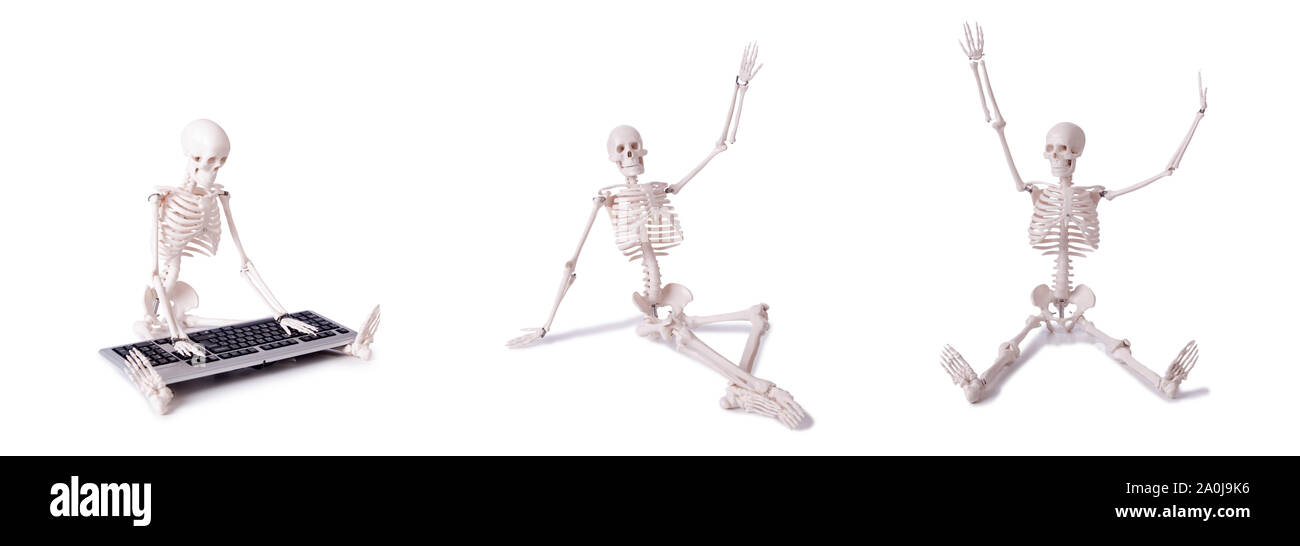 The funny skeleton working on computer Stock Photo - Alamy