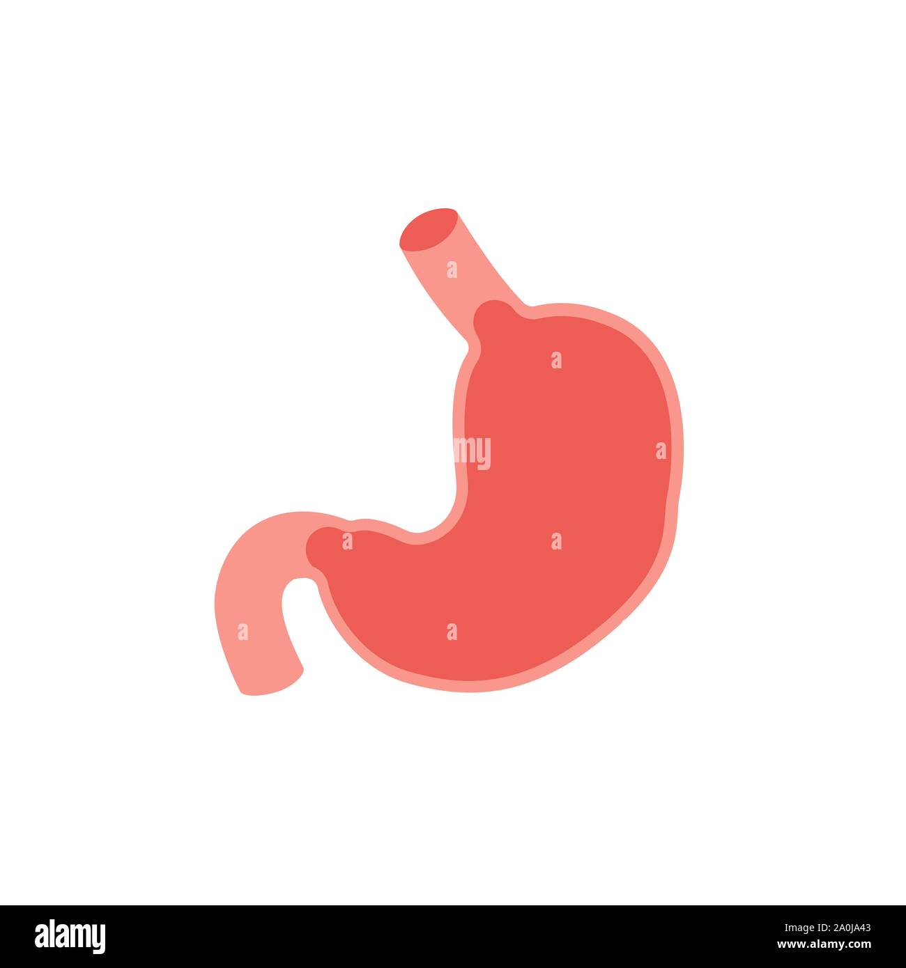 Stomach icon. Human internal organs symbol. Digestive system anatomy ...