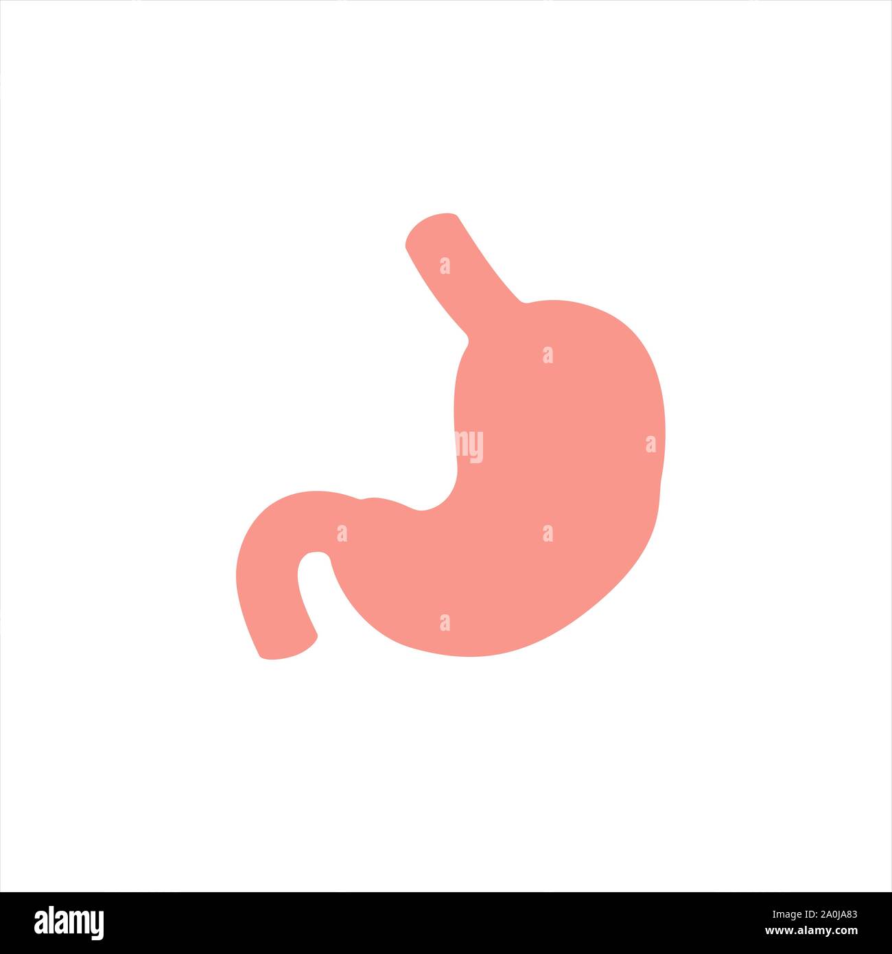 Stomach icon. Human internal organs symbol. Digestive system anatomy ...