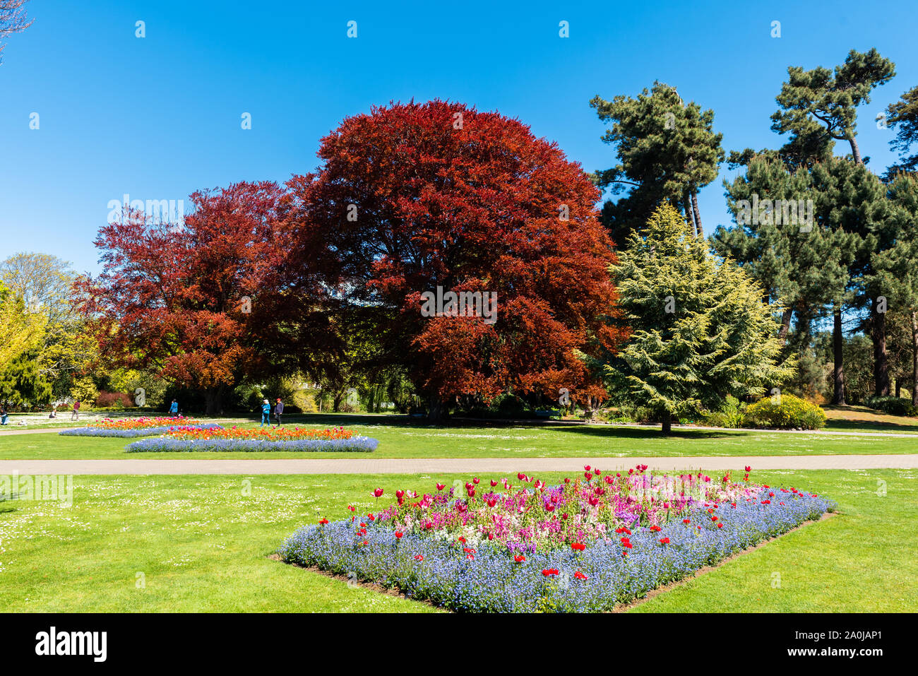 Christchurch botanic gardens hi-res stock photography and images - Alamy