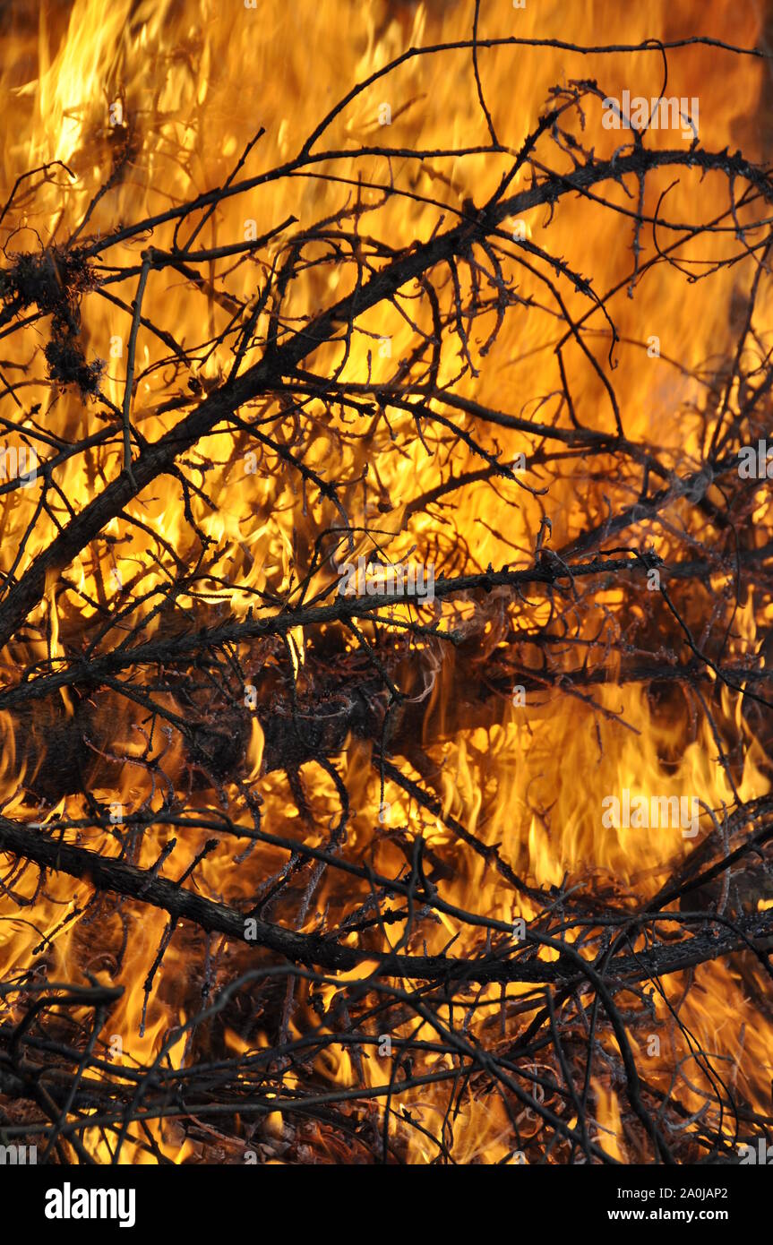 Burning branches hi-res stock photography and images - Alamy