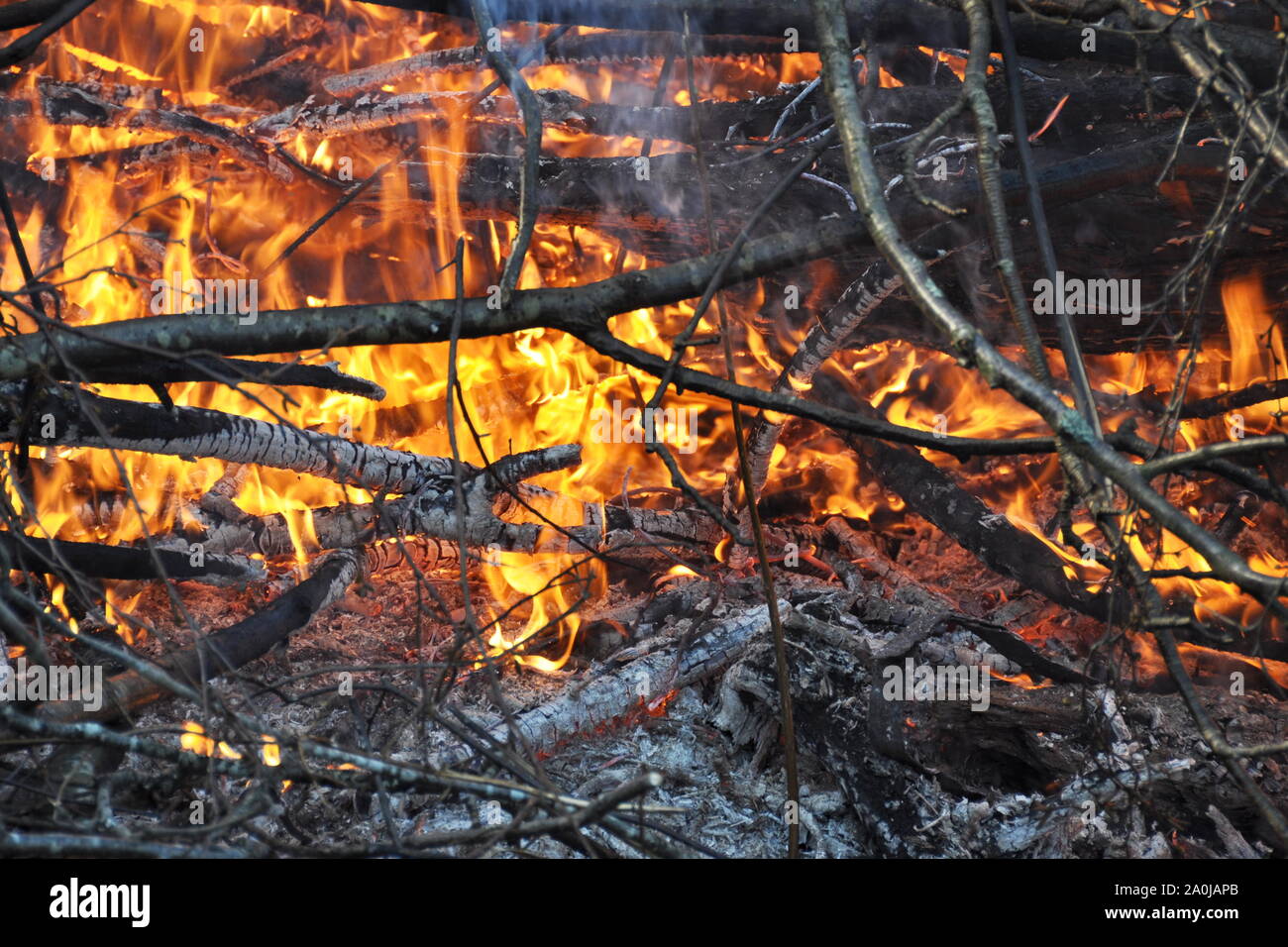 Fire branches hi-res stock photography and images - Alamy