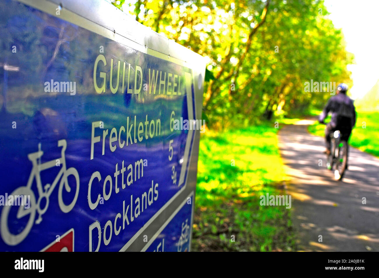 Cyclist riding on the Guild Wheel trail in Preston Stock Photo - Alamy