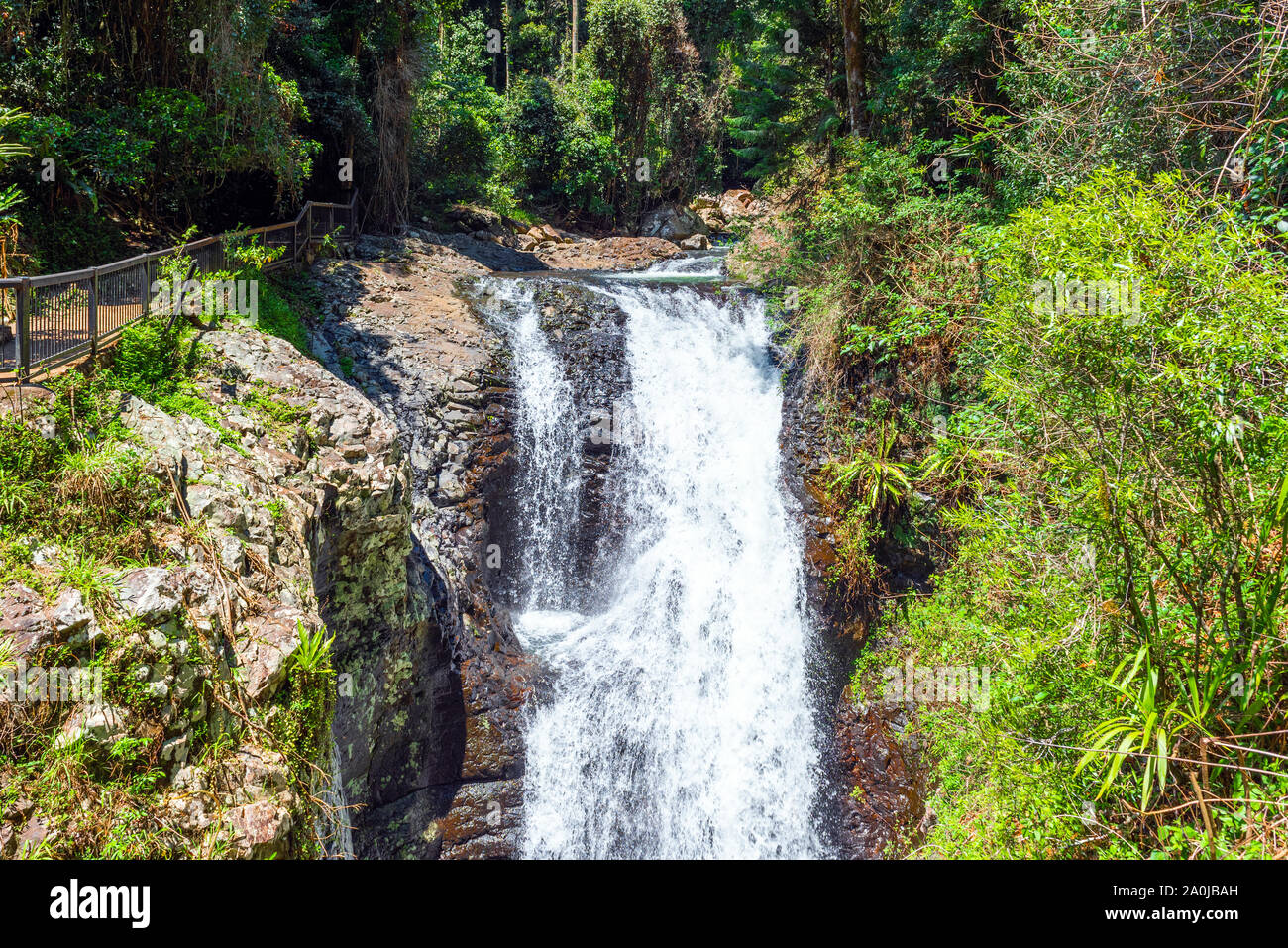 Waterfall view, Gold Coast, Queensland, Australia Stock Photo - Alamy