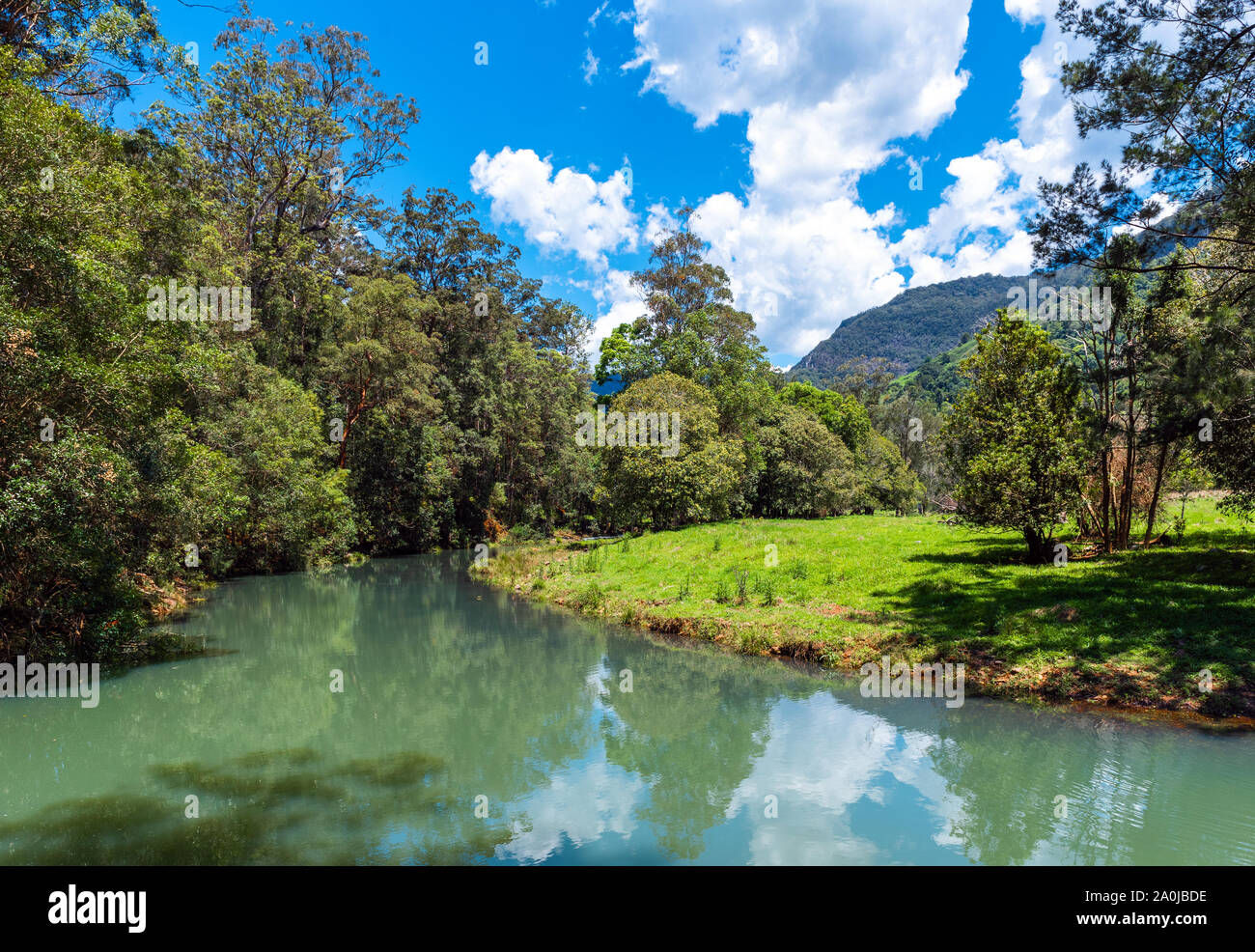 Gold coast hinterland forest hi-res stock photography and images - Alamy